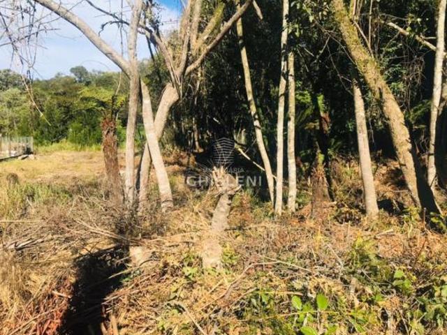 TERRENO AMPLO E ENSOLARADO PARA MORADIA