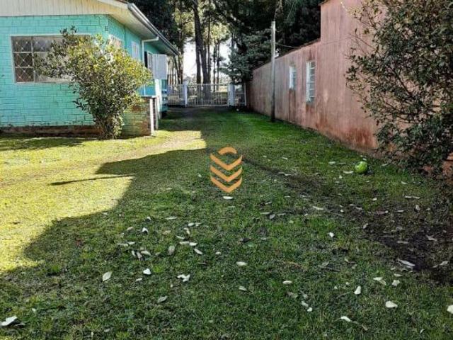 Terreno Amplo em Canela