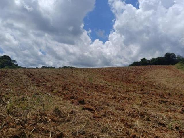 Terreno Amplo em Ibiúna – Ideal para Construir