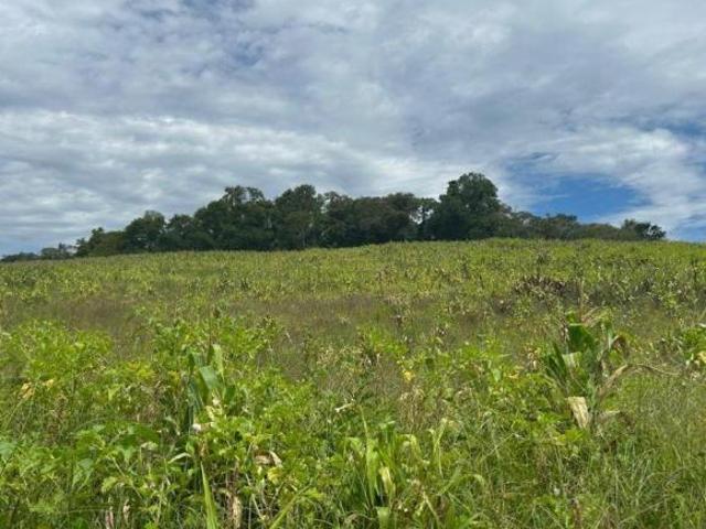 Terreno Amplo em Ibiúna – Ideal para Construir