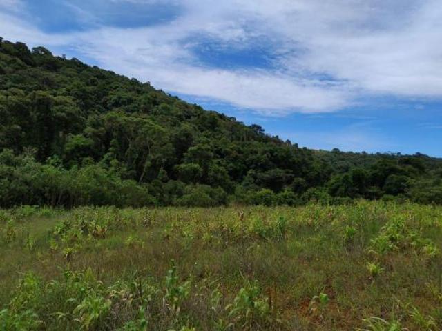 Terreno Amplo em Ibiúna – Ideal para Construir