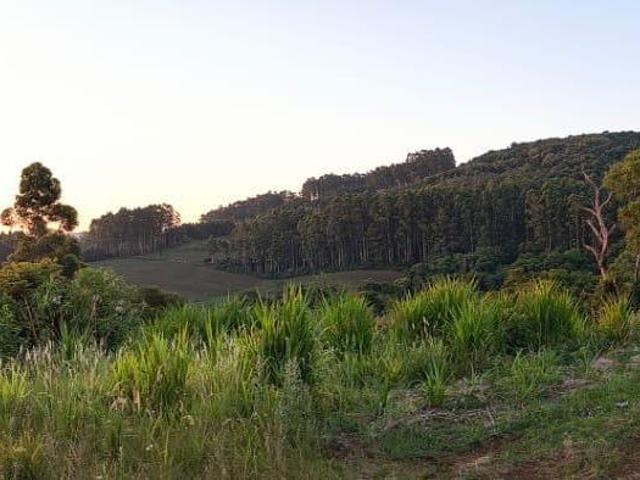 Terreno amplo em localização privilegiada no centro de Alto Feliz