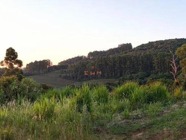 Terreno amplo em localização privilegiada no centro de Alto Feliz