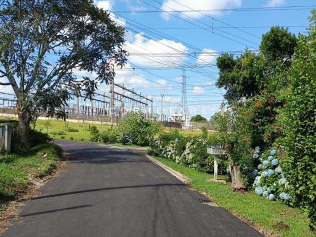 Terreno amplo em rua sem saída com 496m2 – São José dos Pinhais