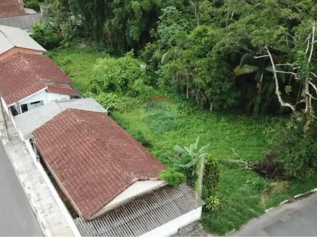 Terreno Amplo em Vila Maria, Pariquera Açu!