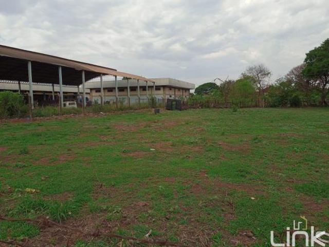 Terreno amplo, plano, 50 x 50, medindo 2.500 m2