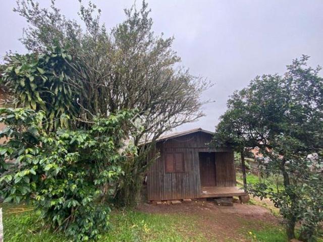 Terreno amplo 510m² proximo a avenida Aj Renner e sts Ferreira