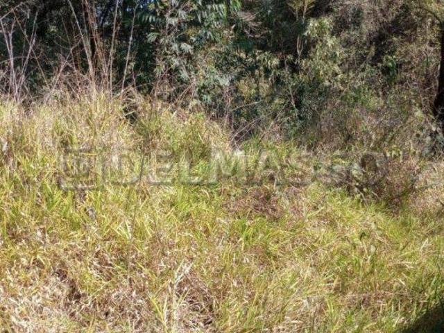 Terreno antes do centro e próximo ao asfalto com 4.250 m²!
