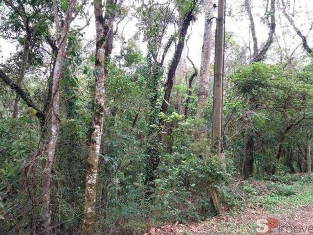 Terreno, Apolinario, Mairiporã, SP