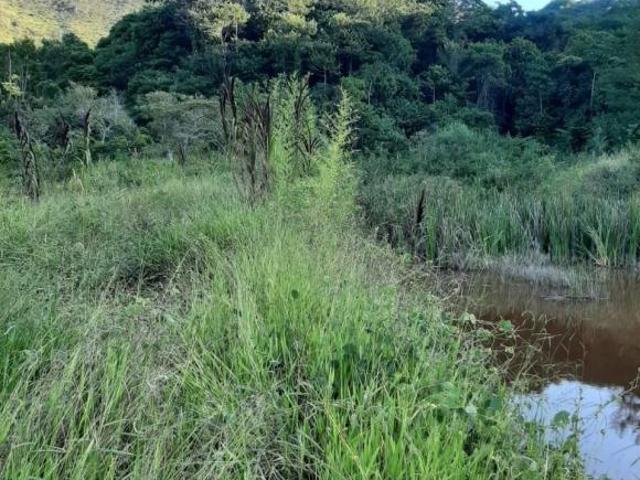 Terreno / Área à venda, Fazenda da Ressaca Monsenhor Horta/MG