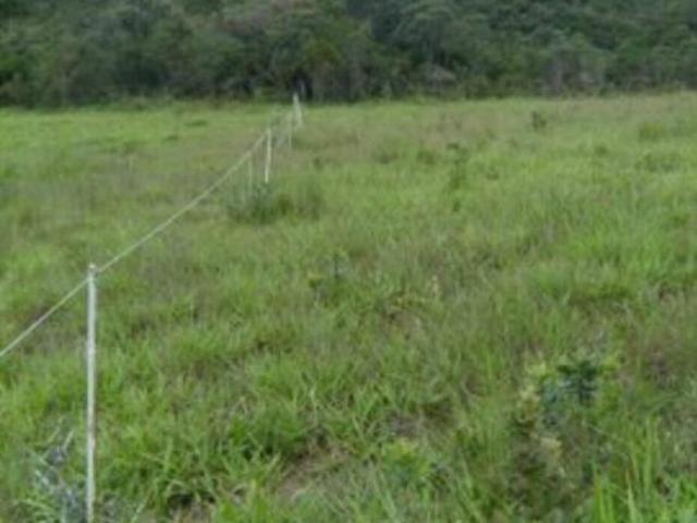 Terreno / Área à venda, Gouveia Santo Antônio Do Leite/MG