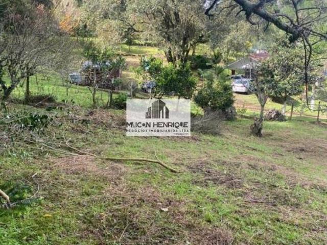 Terreno Área em Monte Bérico Caxias do Sul
