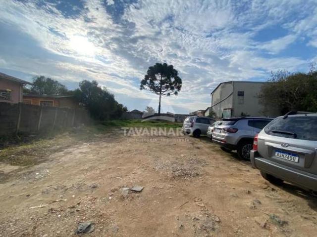 Terreno Área em Ponta Grossa