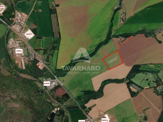 Terreno Área em Ponta Grossa