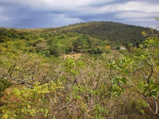 Terreno / Área em Vargem Grande com