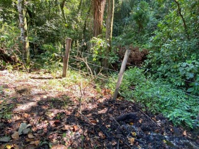 Terreno Área para venda Zona Rural Luminárias