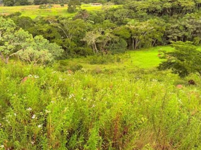 Terreno Área para venda Zona Rural Luminárias
