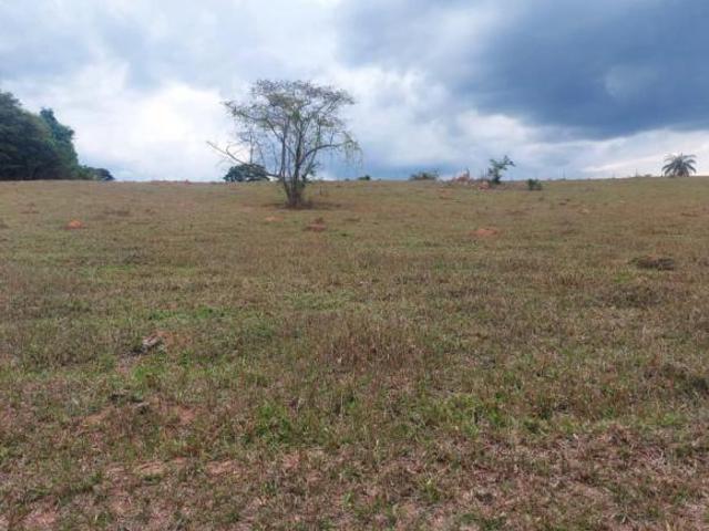 Terreno Área para venda Zona Rural Rio Manso