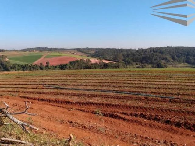 Terreno Área para venda Bairro Dos Gabriel Ibiúna