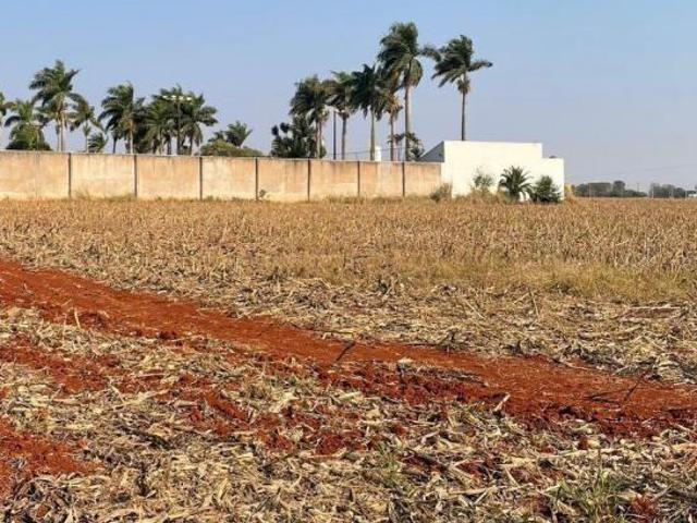 Terreno Área para venda Parque Industrial Mário Bulhões Maringá