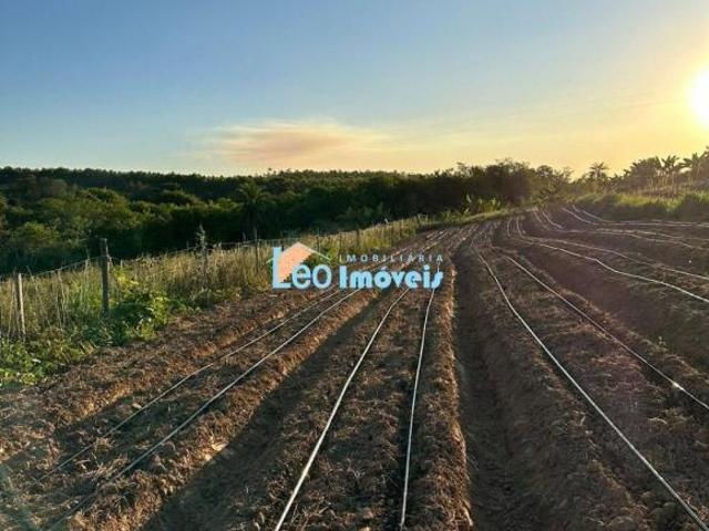 Terreno Área para venda Quilombo do Gaia São Gonçalo do Pará