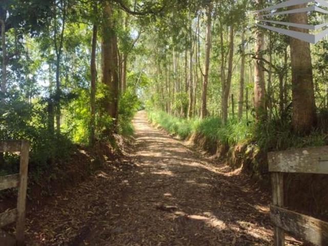 Terreno Área para venda Sarapuí dos Soares Piedade