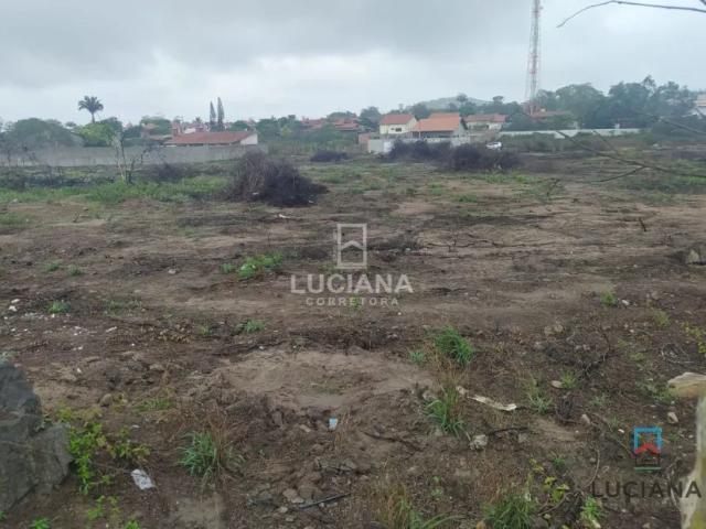 Terreno as Margens da BR Excelente oportunidade de investimento