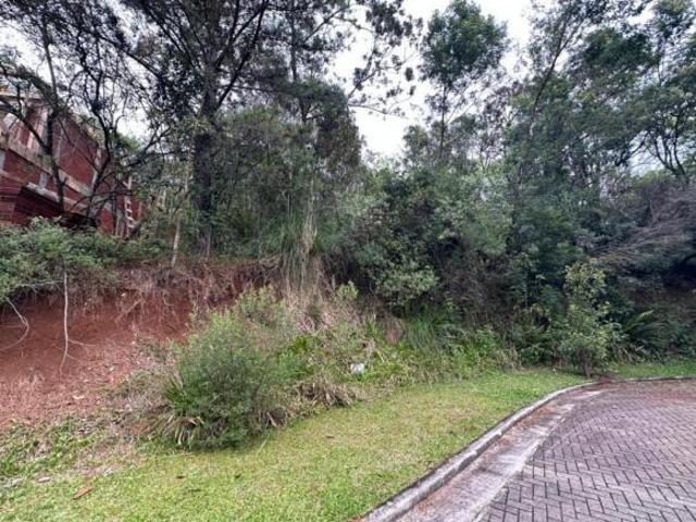 Terreno Bairro TERRAS ALTAS