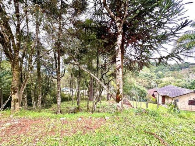 Terreno Bairro Vale dos Pinheiros