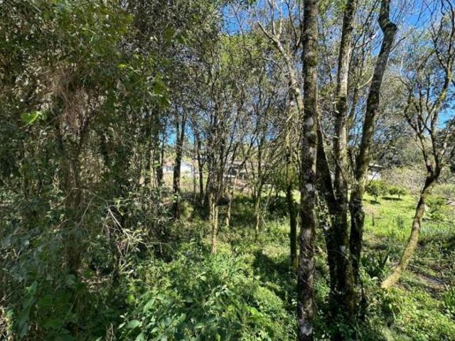 Terreno Bairro Vale dos Pinheiros