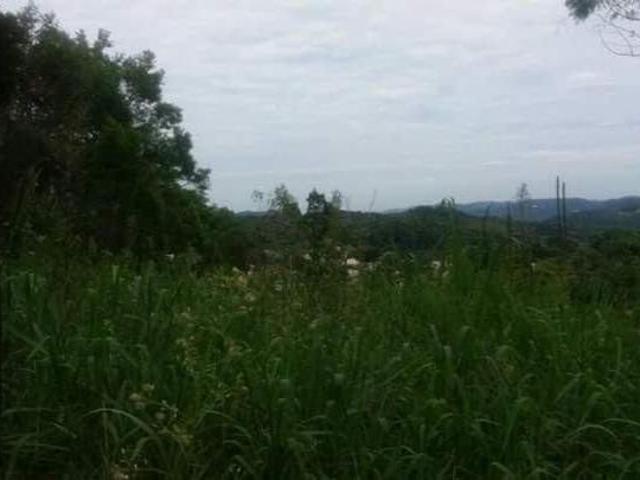 Terreno Bairro Vale Verde