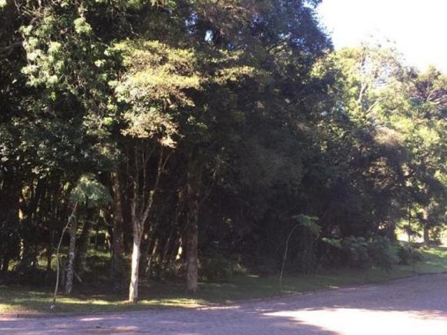 Terreno Bairro Vila Suzana