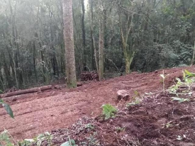 Terreno Bairro Vila Suzana