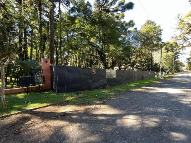 Terreno Bairro Vila Suzana