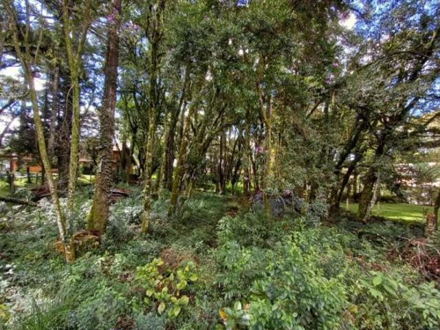 Terreno Bairro Vila Suzana