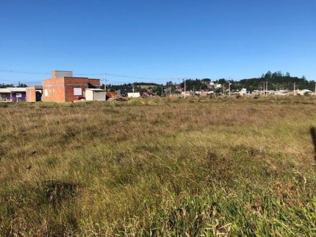 Terreno Bairro Vila São João