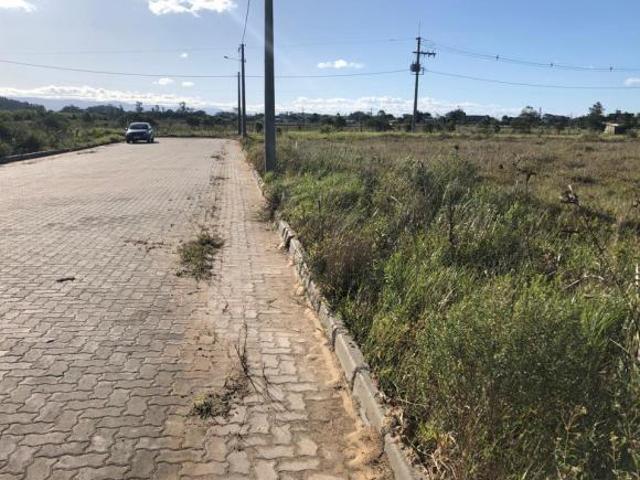 Terreno Bairro Vila São João