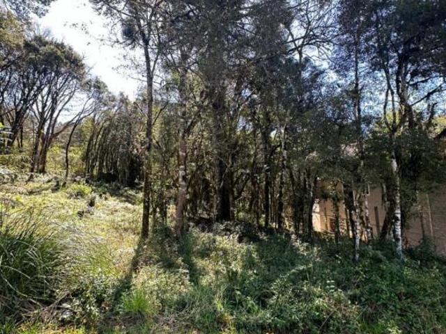 Terreno Bairro Vivendas do Arvoredo