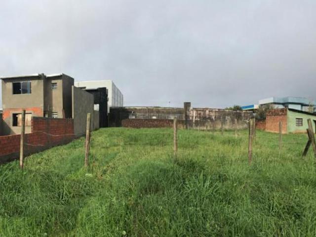 Terreno Bairro Zona Nova