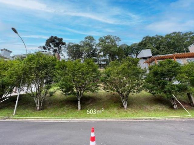 Terreno Bairro Alphaville