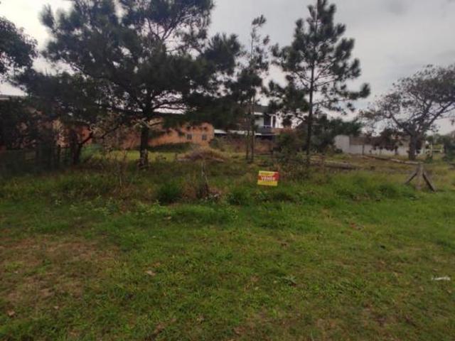 Terreno Bairro Arroio Teixeira