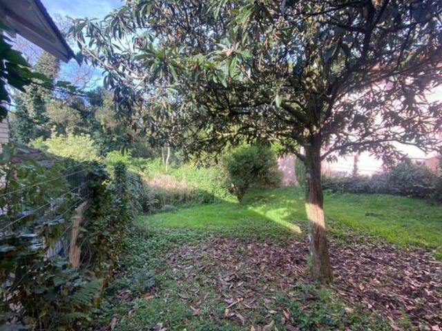 Terreno Bairro Avenida Central