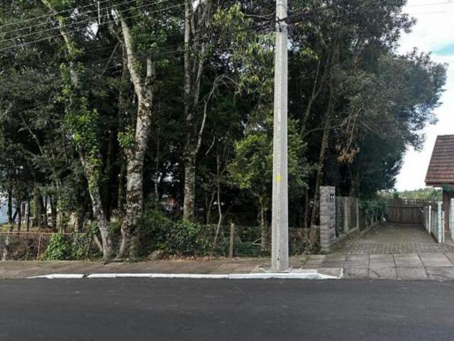 Terreno Bairro Belvedere