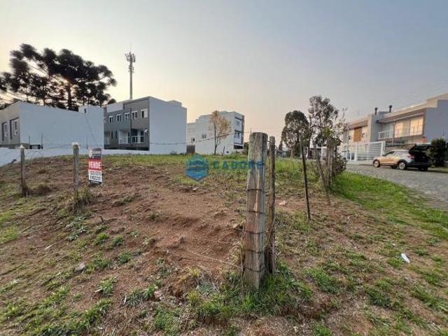 Terreno bairro Bela Vista de esquina com 443m²