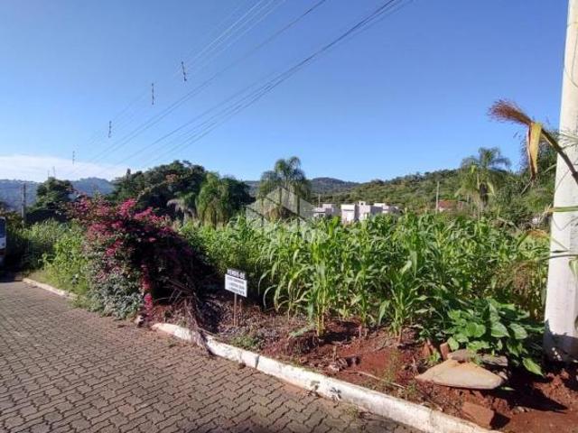 Terreno bairro Boa Vista Lindolfo Collor