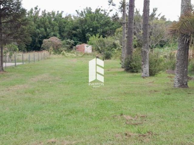 Terreno Bairro Boi Morto