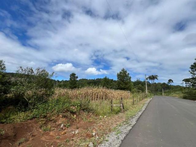 Terreno Bairro Caracol