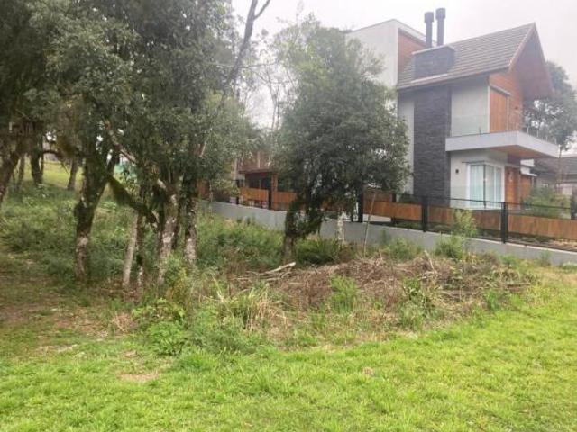 Terreno Bairro Carniel