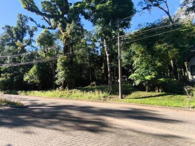 Terreno Bairro Carniel