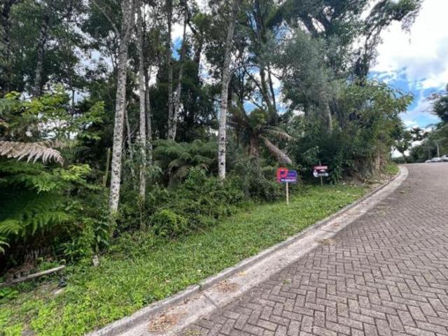 Terreno Bairro Carniel